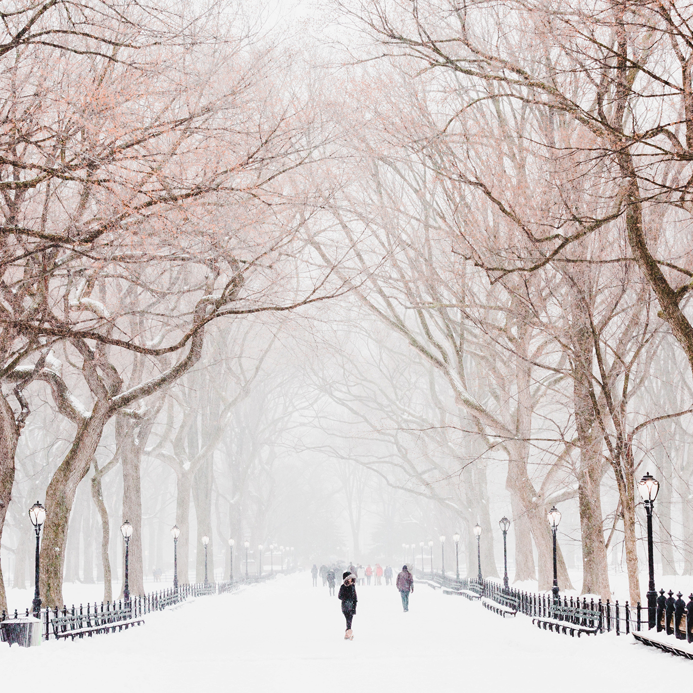 Bleak Midwinter? | LICC